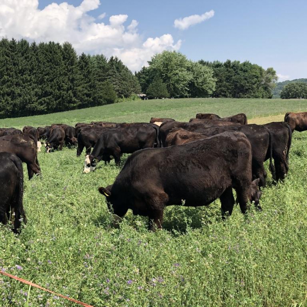 Gallery – Rocker Bros Meat Co.